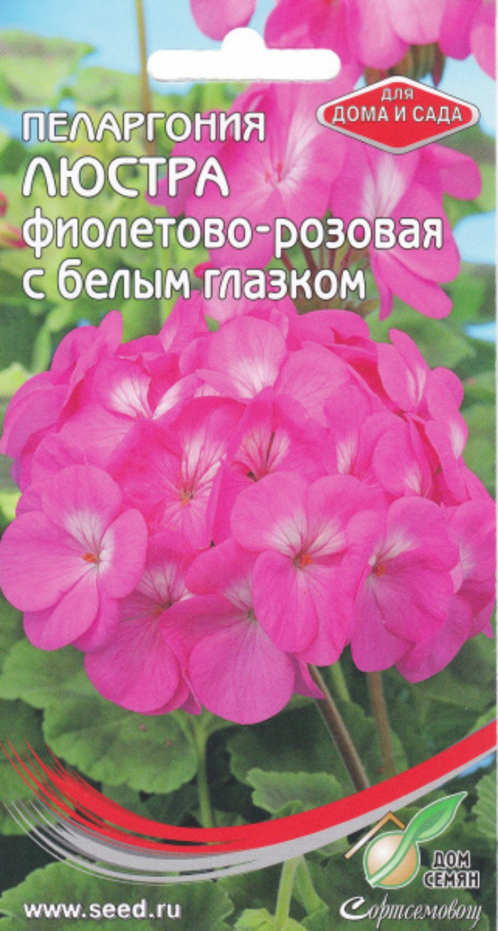 Герань (пеларгония), серия Люстра F1, розовая | Герань (Pelargonium)